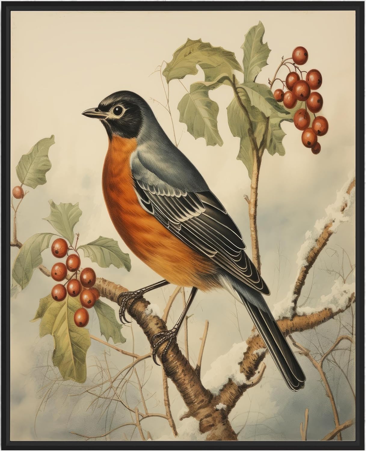 Amazon.com: American Robin Art Print Poster, Bird Wall Art Vintage ...