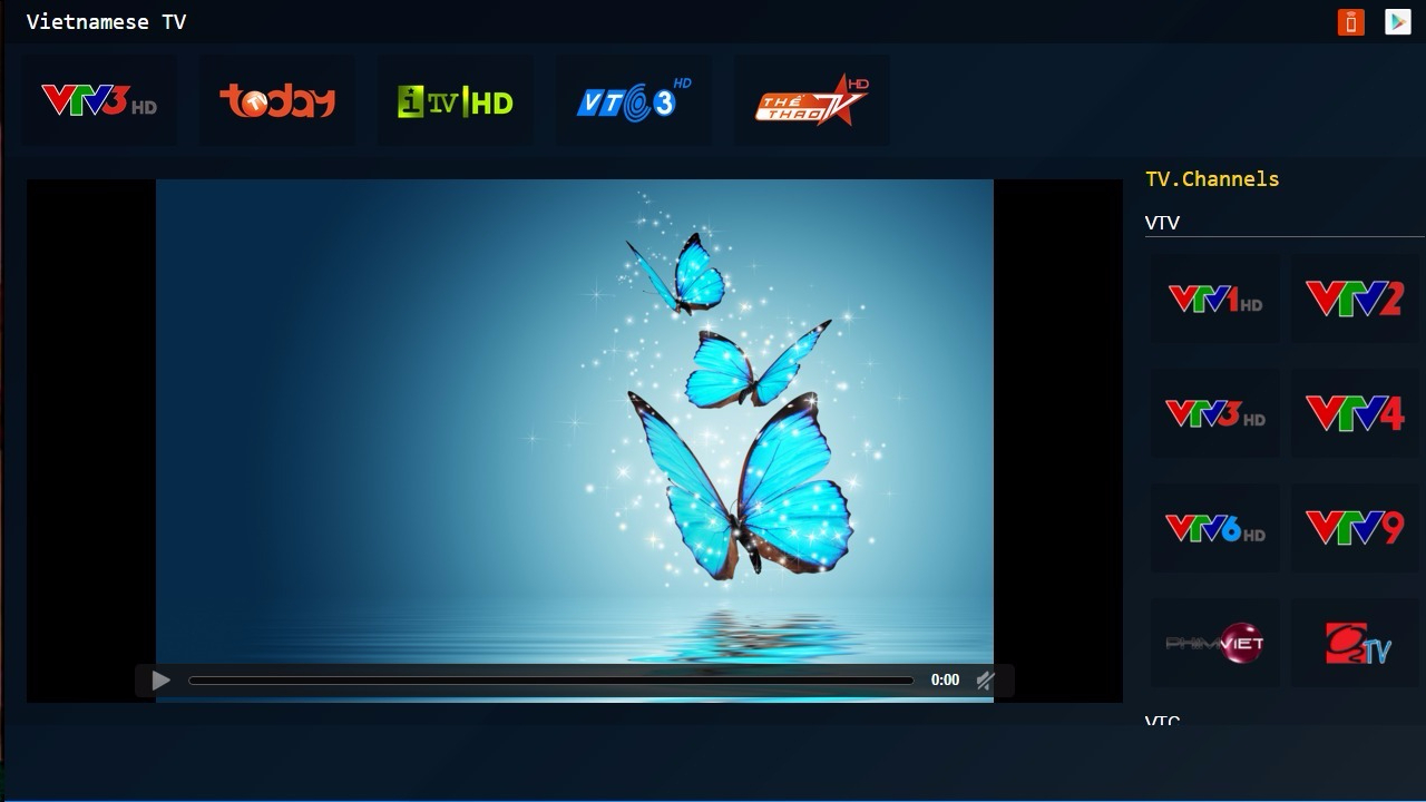 Vietnamese Tv Channel