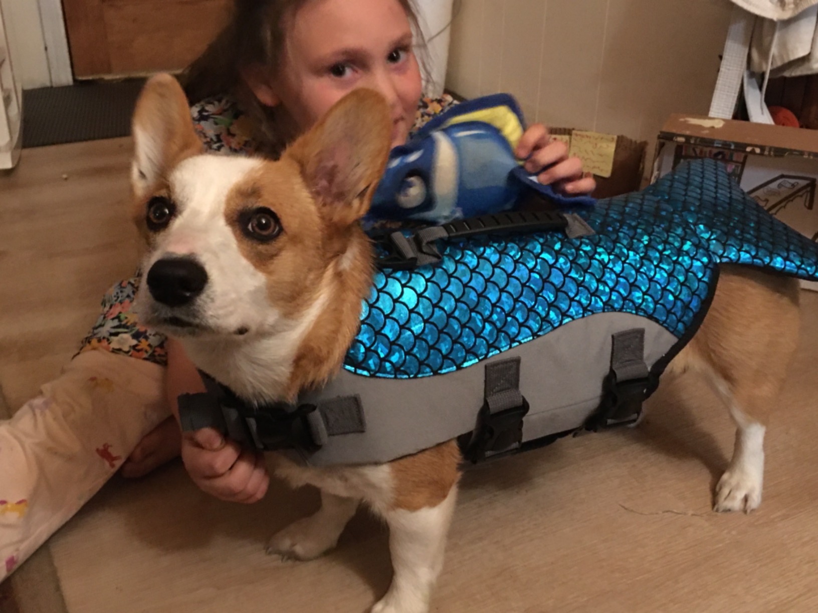 $5/mo - Finance Rozkitch Dog Life Jacket Large, Dog Life Vest for ...