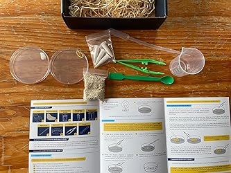 BLOB BOX - Kit Blob Vivant américain (Physarum Polycephalum) - kit ...