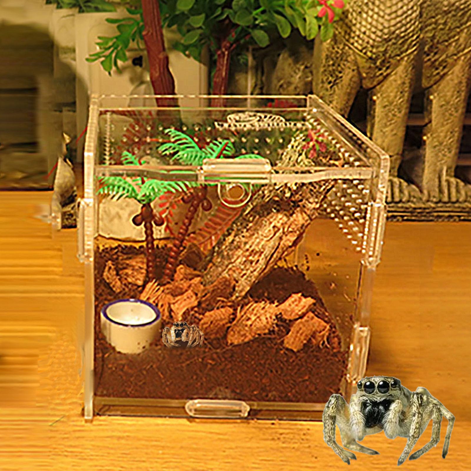 Amazon.com : MANON ROSA Jumping Spider Enclosure - Acrylic Reptile ...