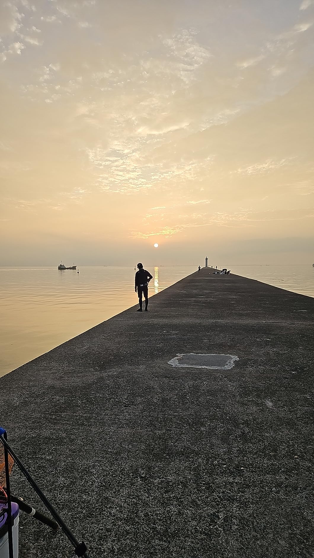 Amazon | ARCWOLF ウェーディングシューズ フィッシングシューズ フェルトスパイクシューズ フェルト底 磯靴 釣り用シューズ 速乾 軽量 耐滑 通気 スパイクシューズ 滑り止め ...