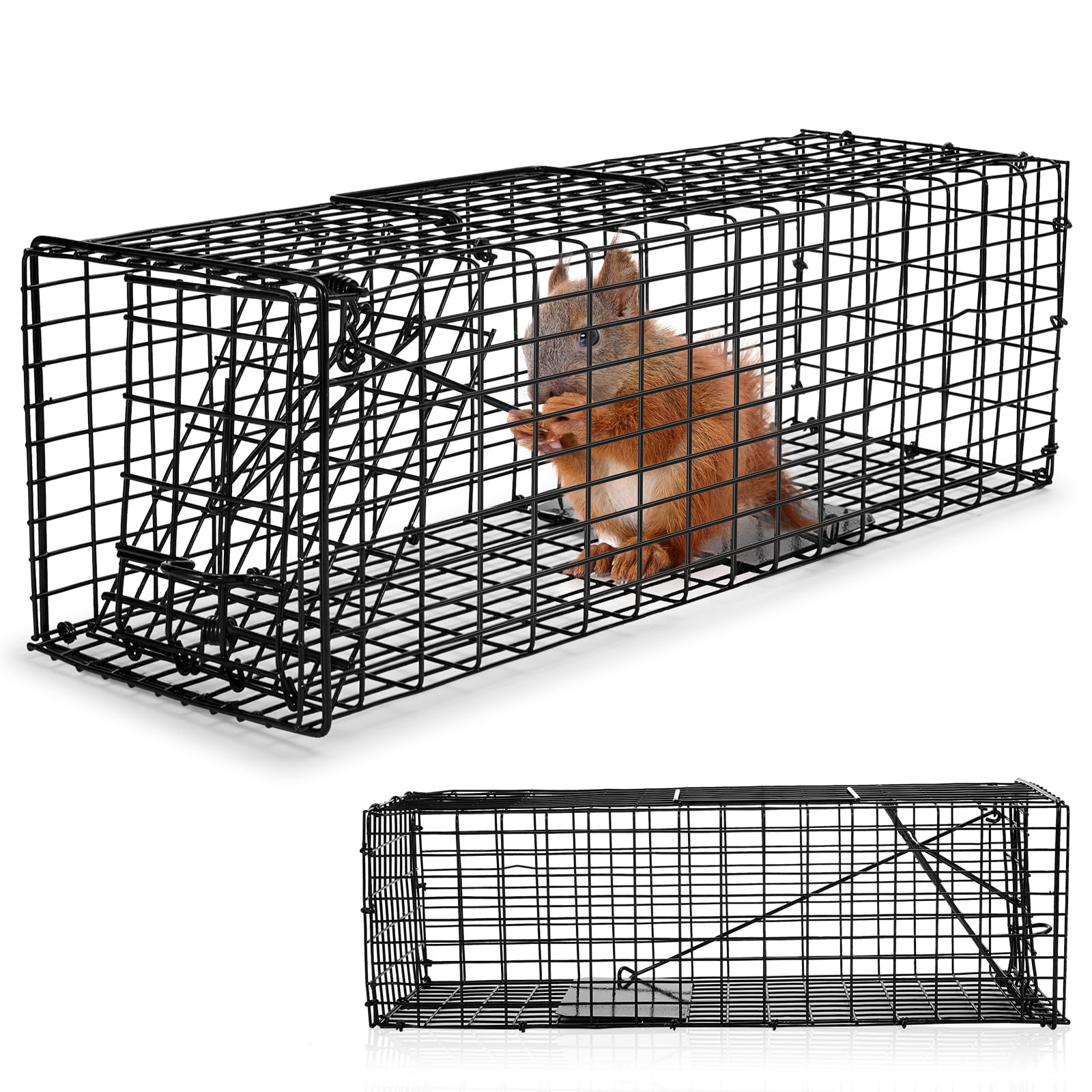 Amazon.com : Qualirey 2 Pcs Humane Squirrel Trap Heavy Duty Live Animal ...