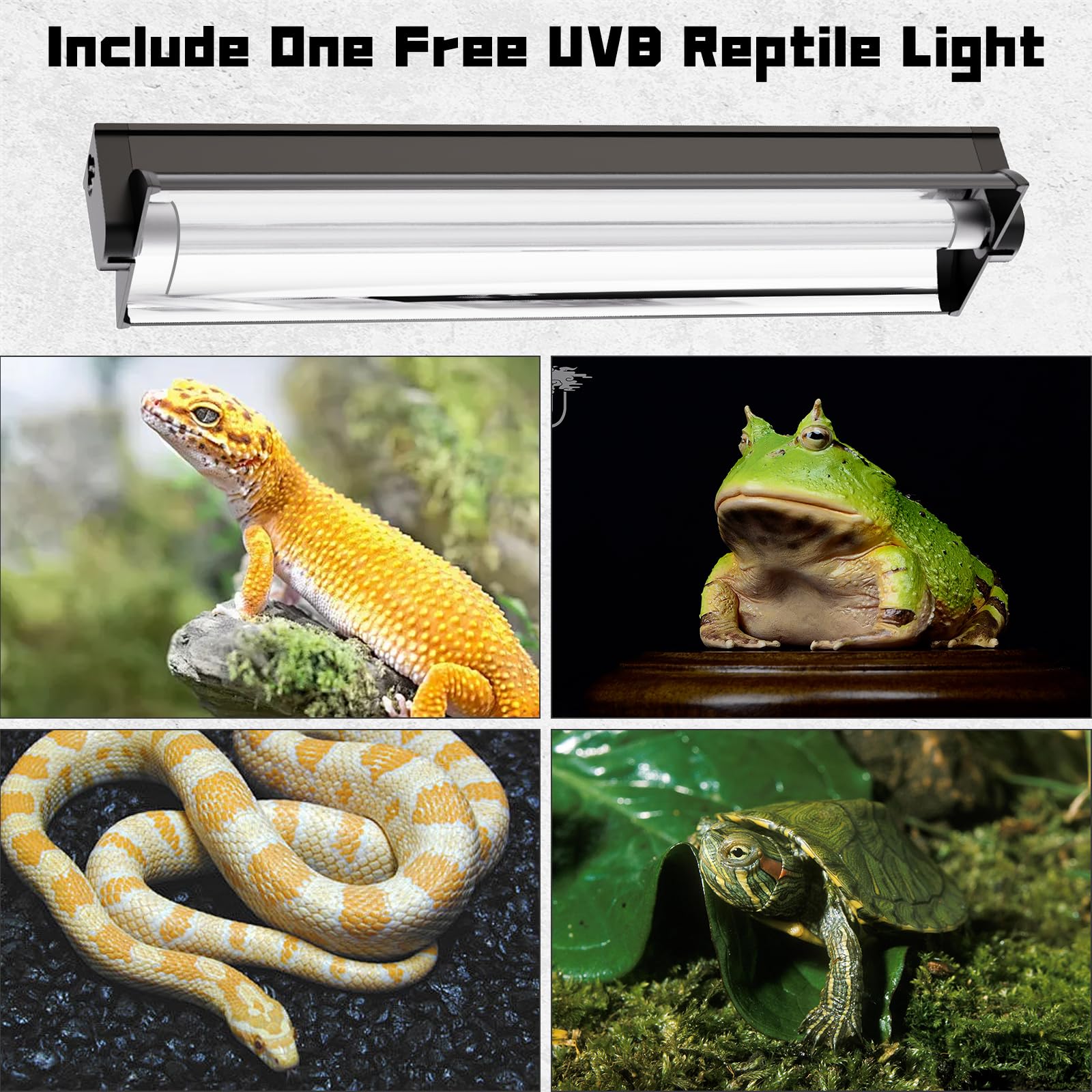 Reptile Fluorescent Lighting Fixtures Amazon.com : REPTI HOME T5 UVA