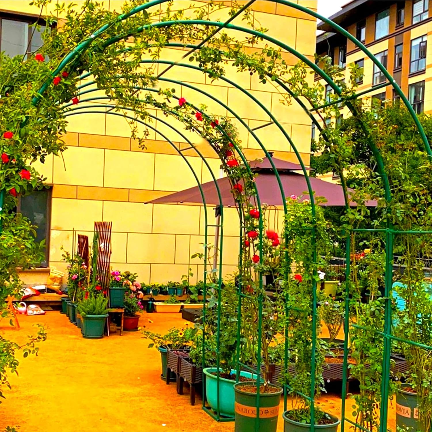 Garden Arbor Pergola,Rose Arch,Weatherproof Vine Climbing Auxiliary ...