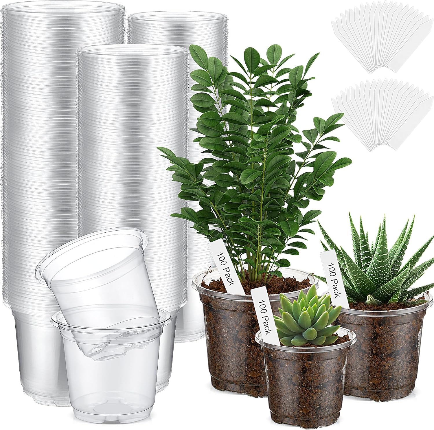 Amazon.com: Layhit 300 Pcs Clear Nursery Containers with 300 Pcs Plant ...