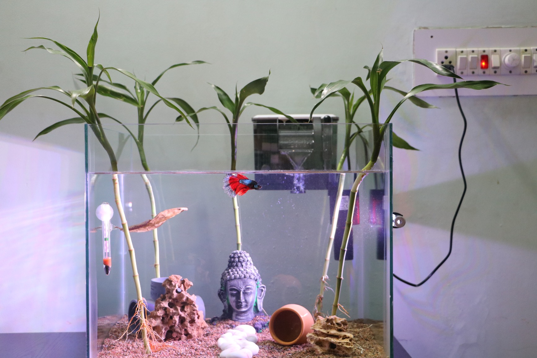 Sobo WP- 308H Aquarium Filter Pump Slim Hanging Filter [ AC 220-240V 50 ...