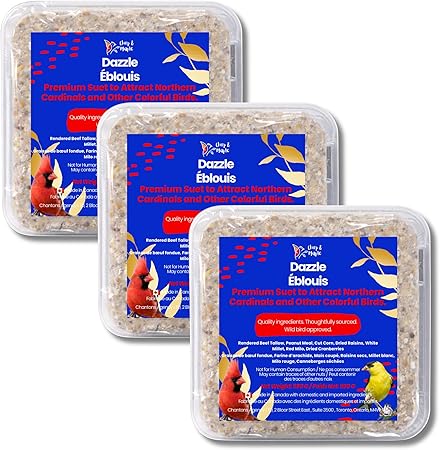 Chirp & Maple, Dazzle, Suet for Wild Birds, Wild Bird Food for Northern ...