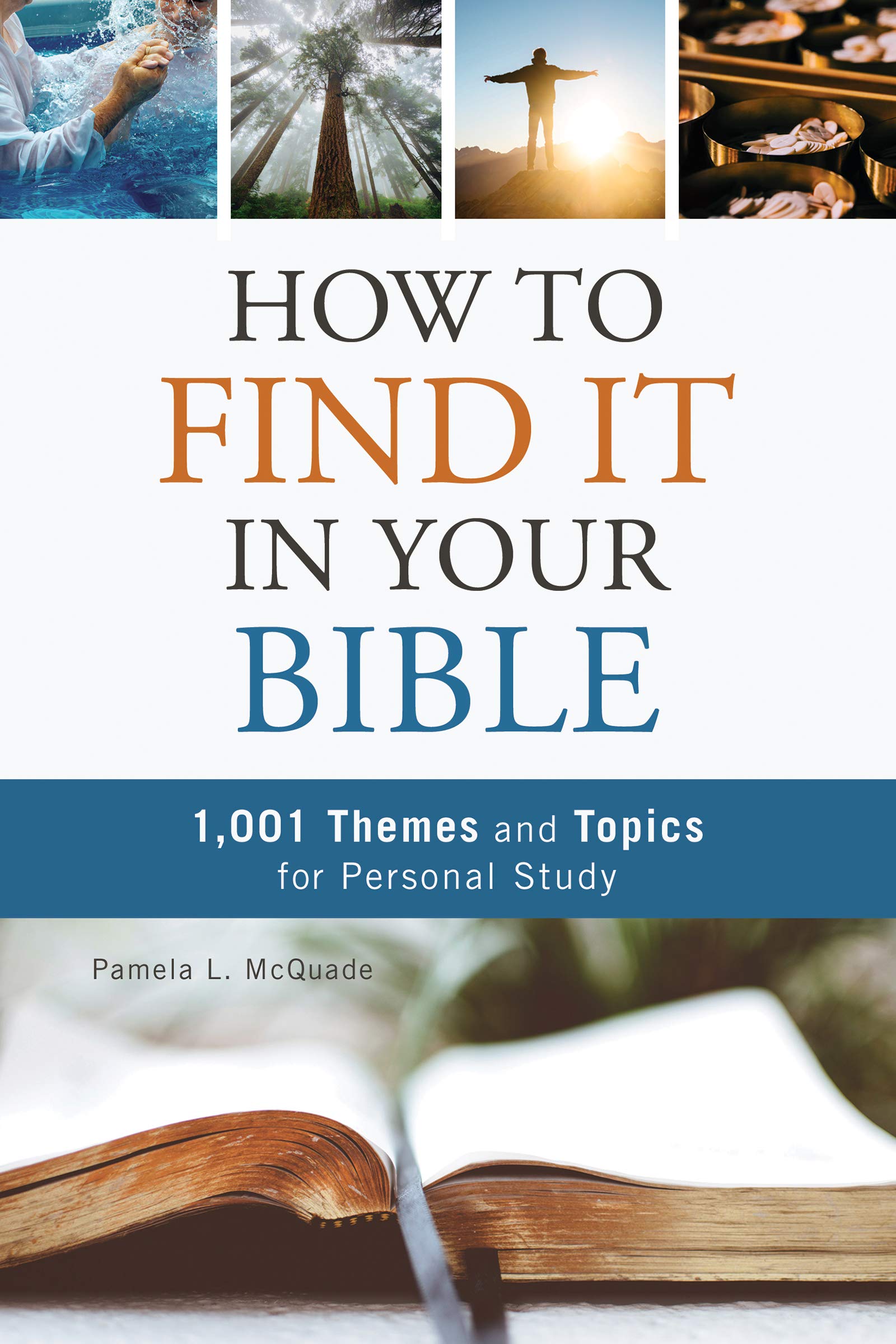 How to Find It in Your Bible: 1,001 Themes and Topics for Personal ...