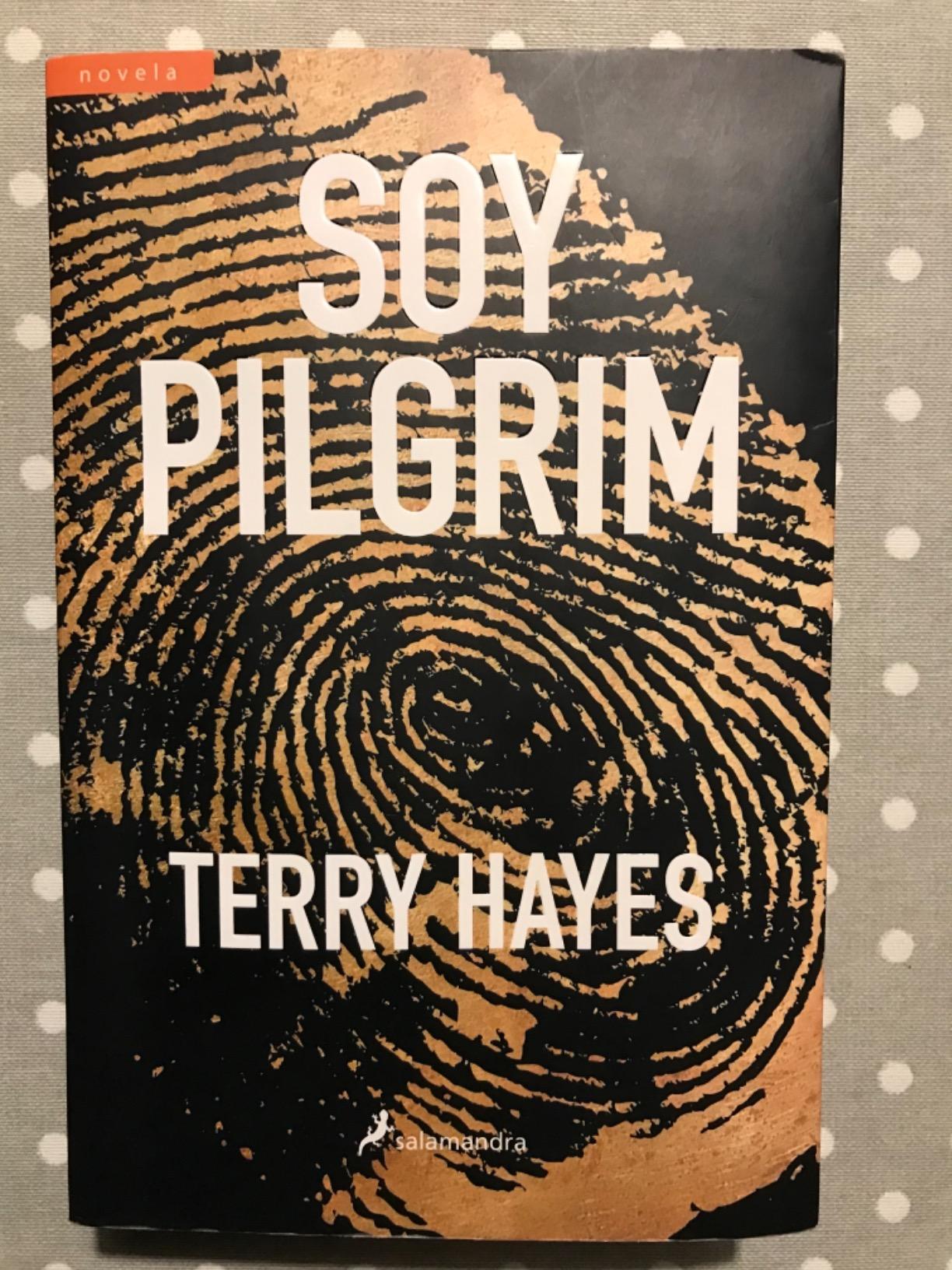 SOY PILGRIM (Novela (Best Seller)) : Hayes, Terry, Martín Sanz, María ...