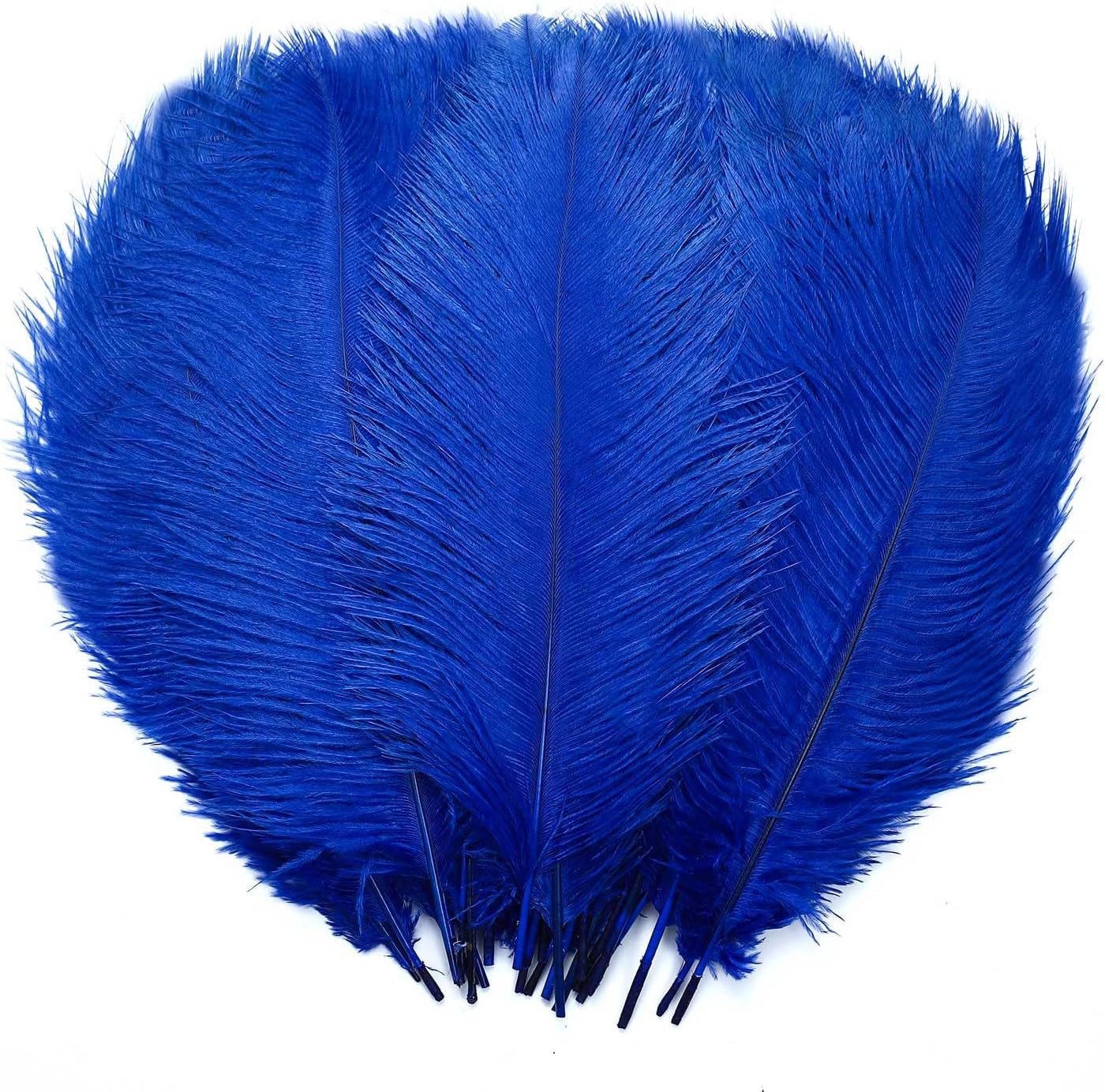 Amazon.com: YAKRUNA 30PCS Royal Blue Ostrich Feathers Bulk 12-14 Inches ...
