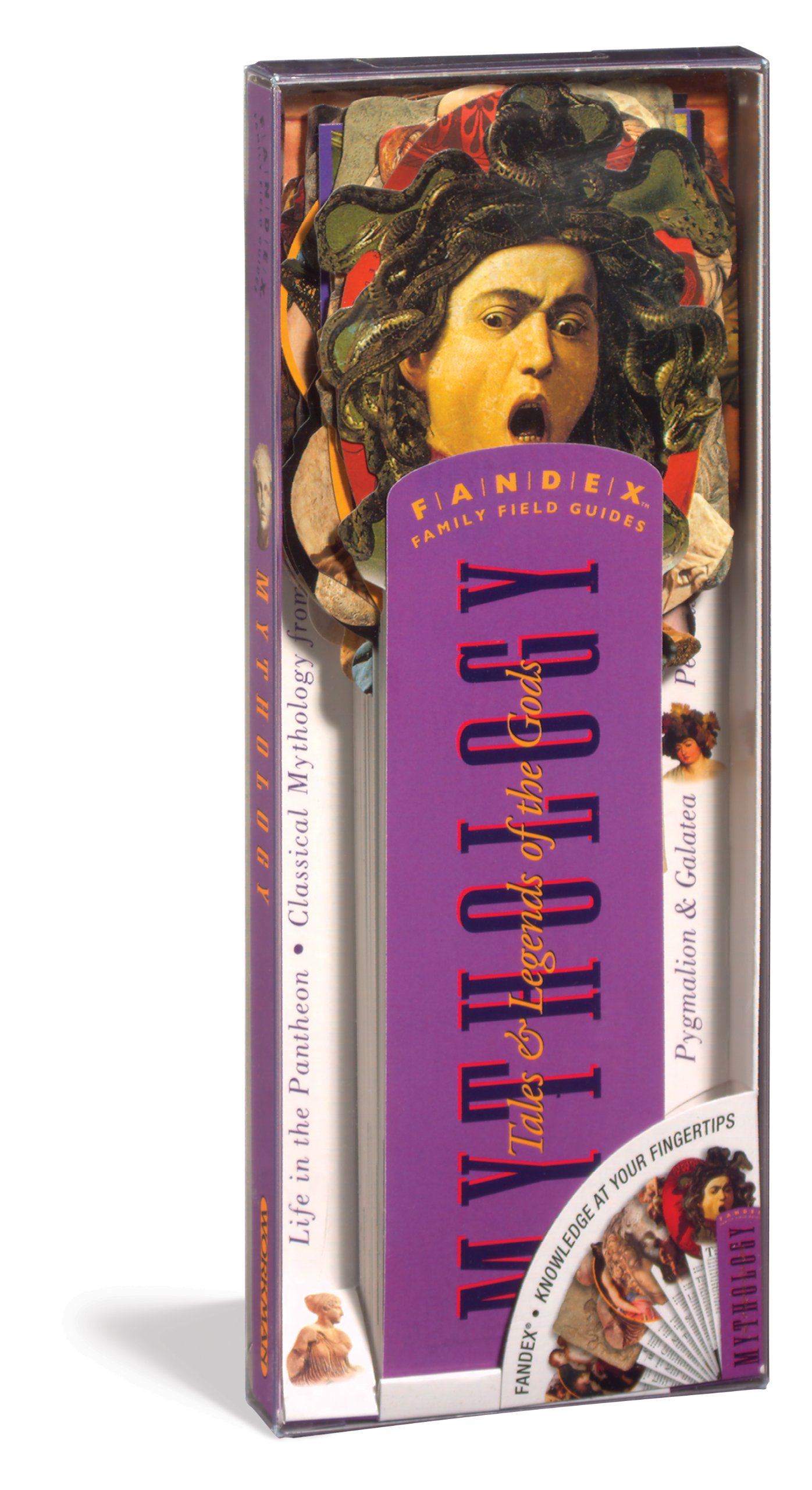 Fandex Mythology Fandex Family Field Guides | Desertcart INDIA