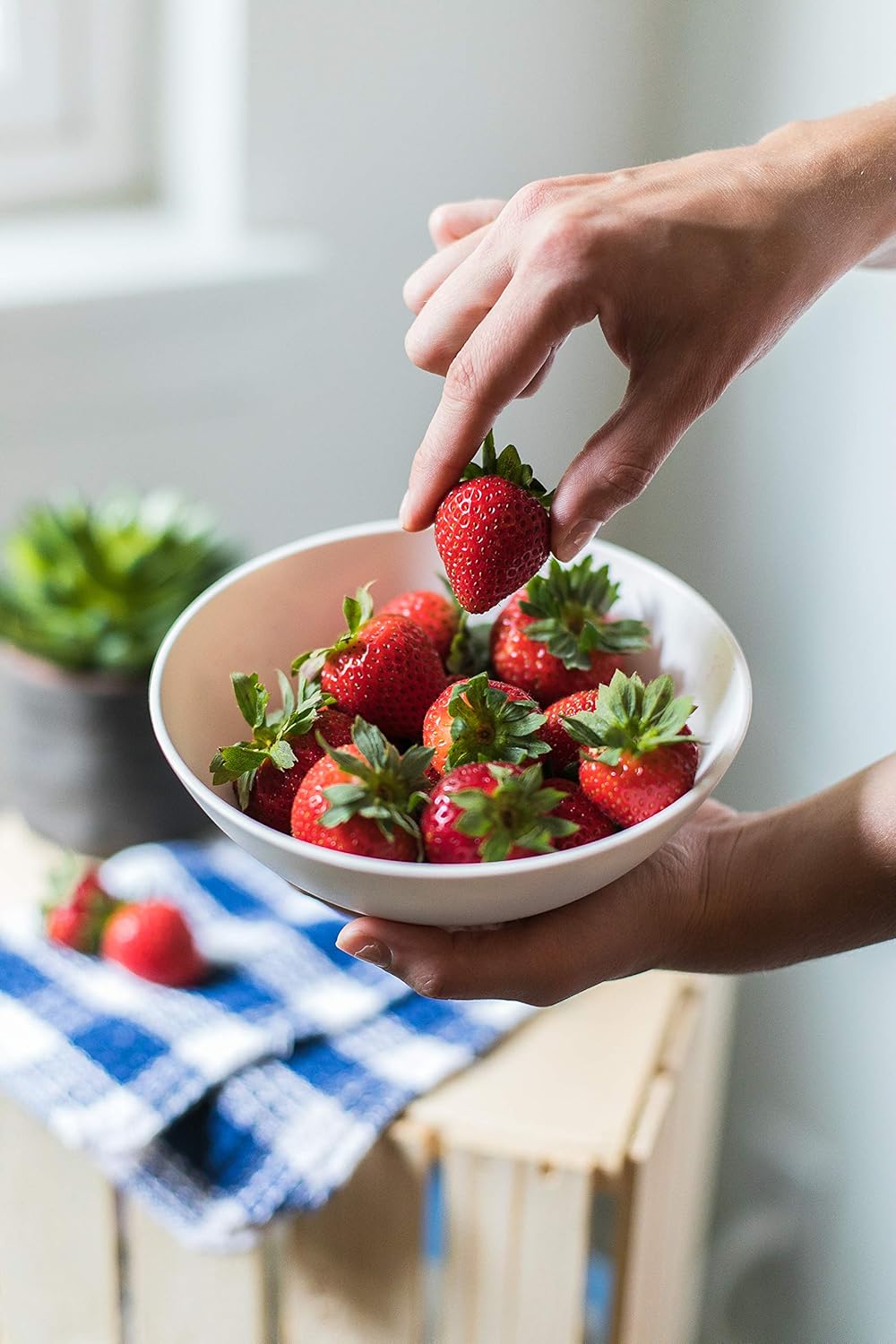 COZA DESIGN 6-Piece Bowl Set, 17 oz (White) – BigaMart
