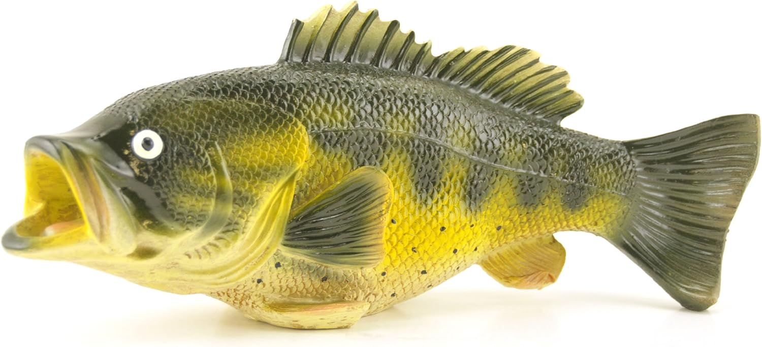 Amazon.com: Fish Coin Bank Sculpture, 10-inch (Change Money Holder ...
