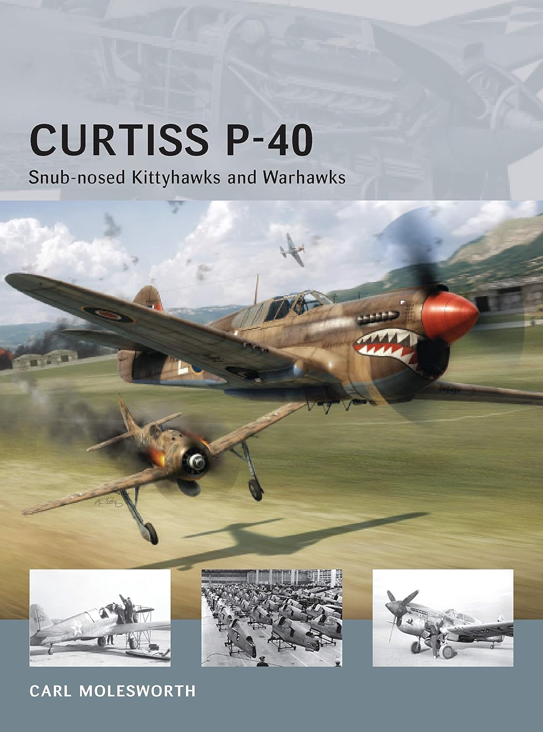 Curtiss P-40: Snub-nosed Kittyhawks and Warhawks (Air Vanguard ...