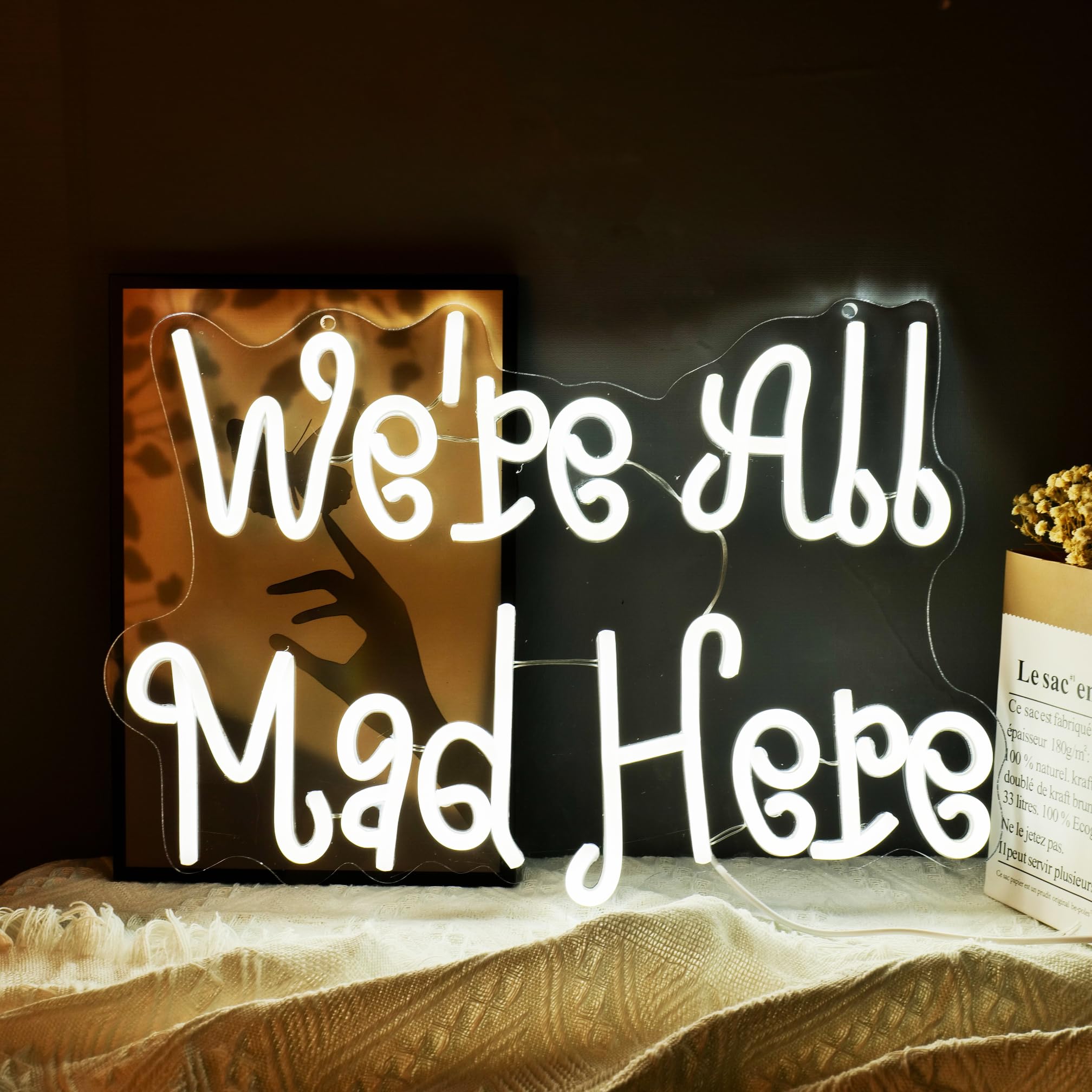 Amazon.com : We’re all mad here Neon Sign Letters Funny Road Signs ...