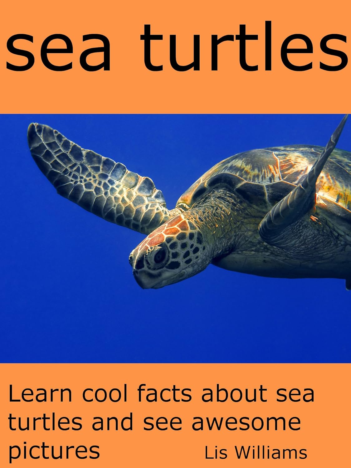 Sea Turtles - Learn Cool Facts about Sea Turtles and See Awesome ...