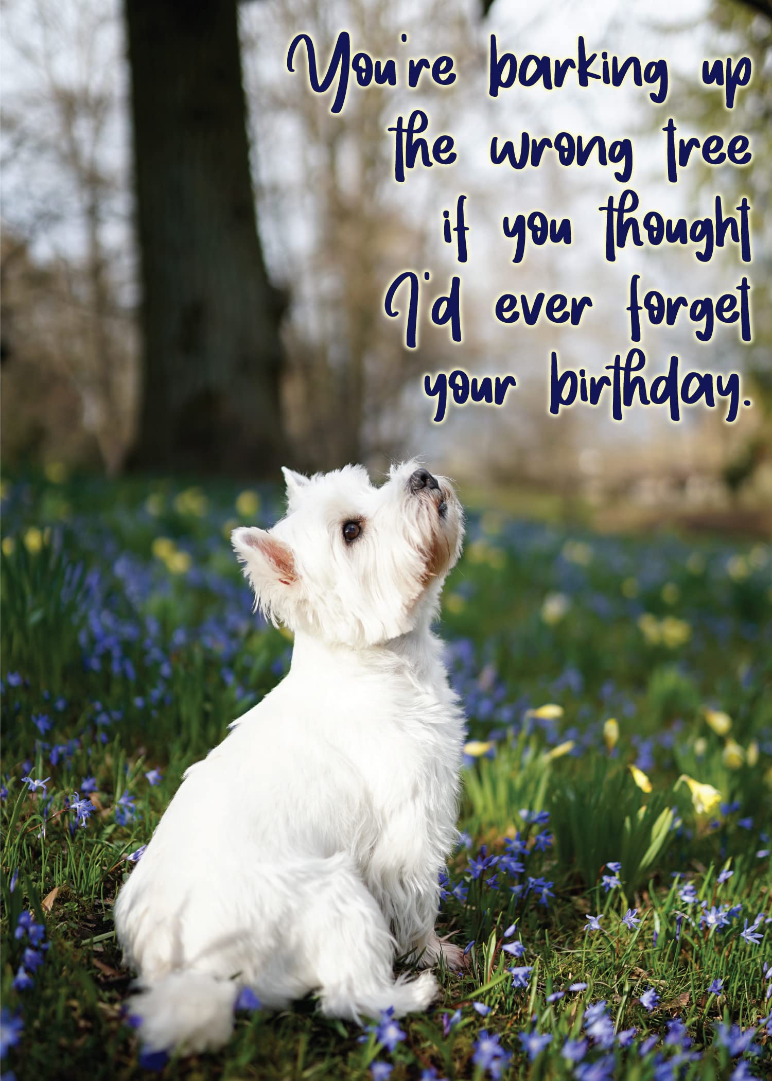 Barking Meme 5,200+ Funny Barking Dogs Stock Photos, Pictures