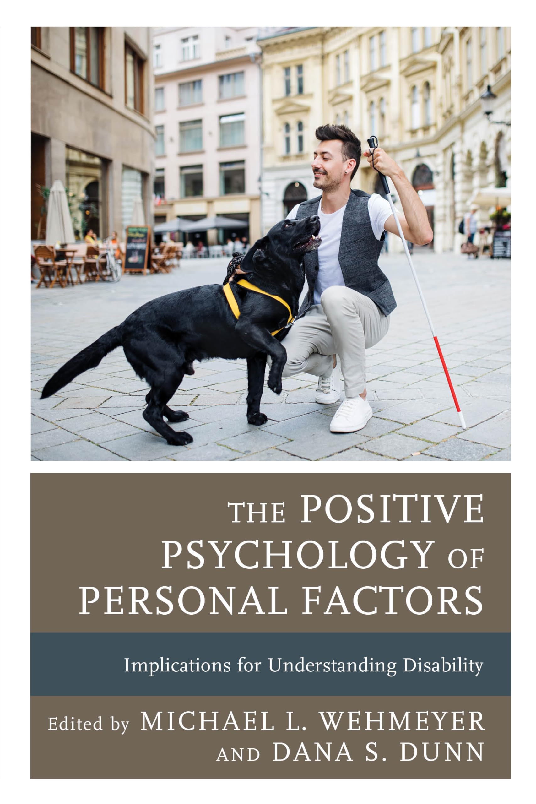 The Positive Psychology of Personal Factors: Implications for ...