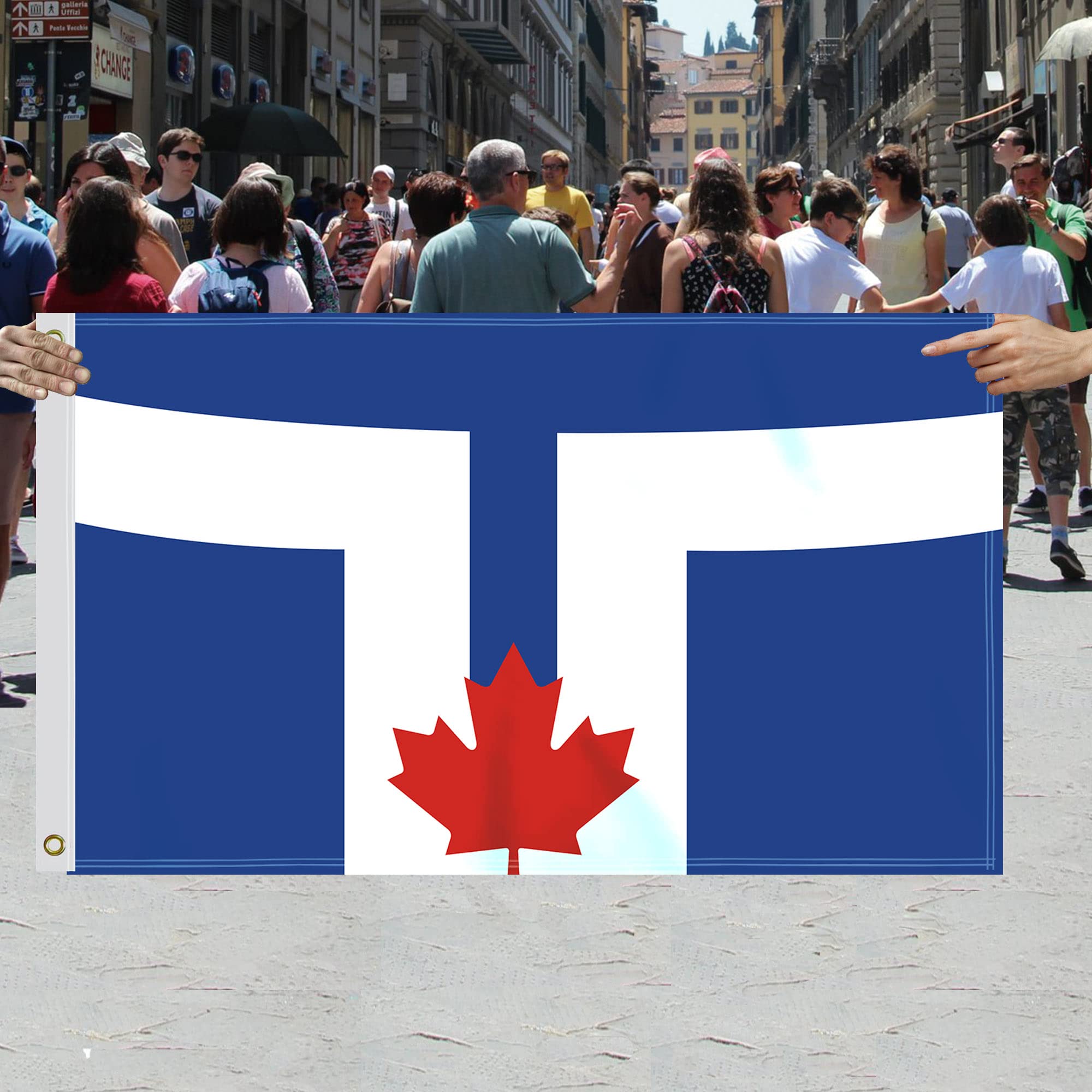 Toronto City Flag