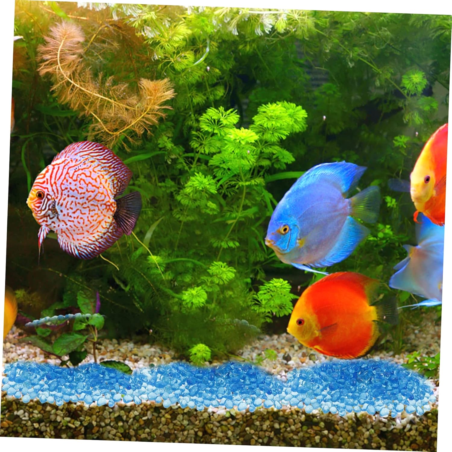 1 Pack Fish Tank Bottom Sand Stones Aquarium Plants Philippines | Ubuy