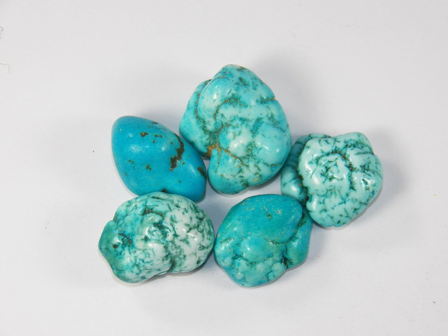 Amazon.com: Fundamental Rockhound Products: 2 oz Turquenite Large 1 ...