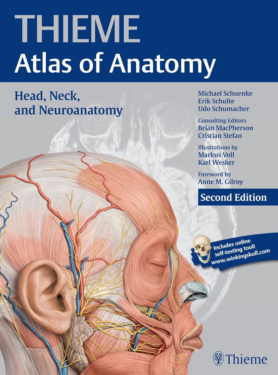 Buy Head, Neck, and Neuroanatomy (THIEME Atlas of Anatomy) Book Online ...