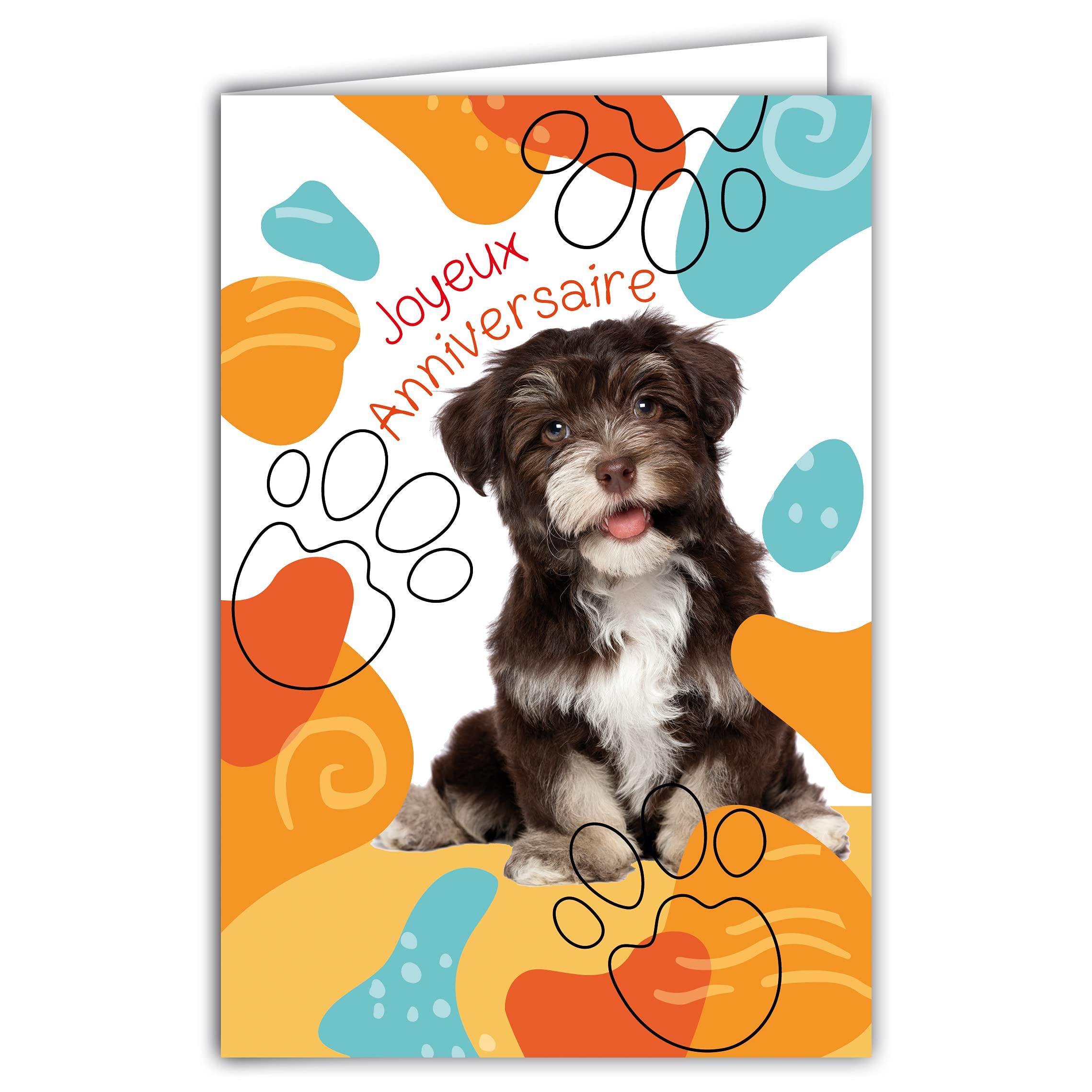 Joyeux Anniversaire Photos D'animaux Ensemble D'animaux Mignons Et