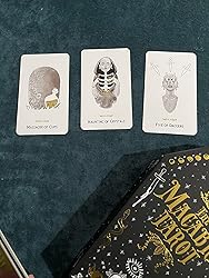 The Macabre Tarot: Rook, Sam: 9781925946734: Amazon.com: Books