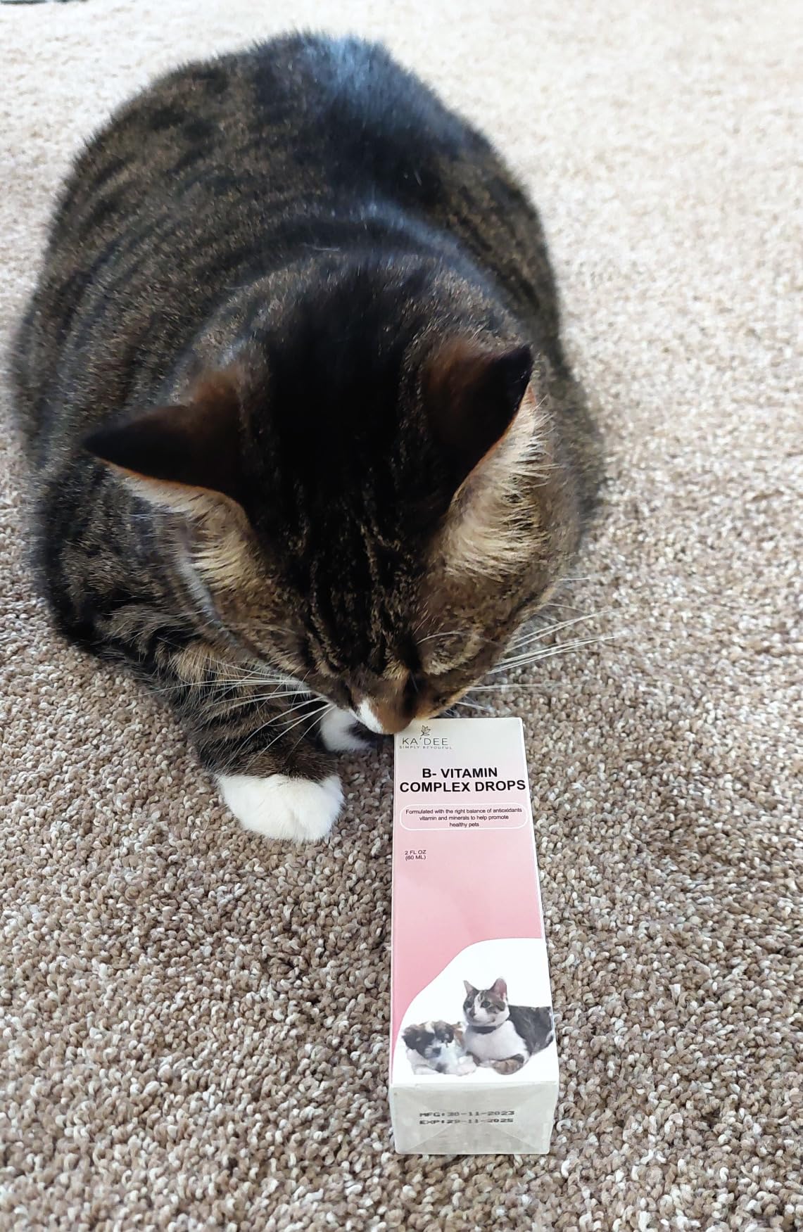 $2/mo - Finance Liquid Vitamin B-12 Complex Drops for Dogs and Cats ...