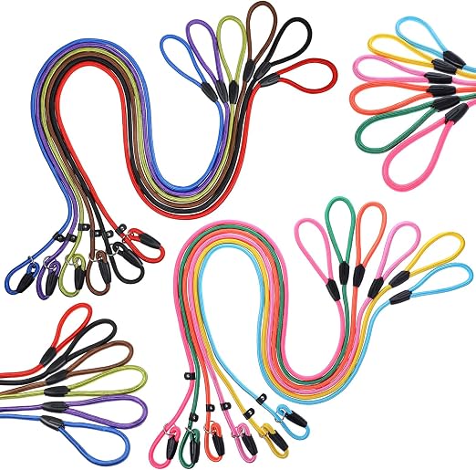 Amazon.com : 12pcs Slip Leads Dog Leash Heavy Duty Rope Leash for Small ...