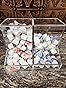 Amazon.com: SimplyImagine Acrylic Candy Dispenser Bin with 2 Lids for ...