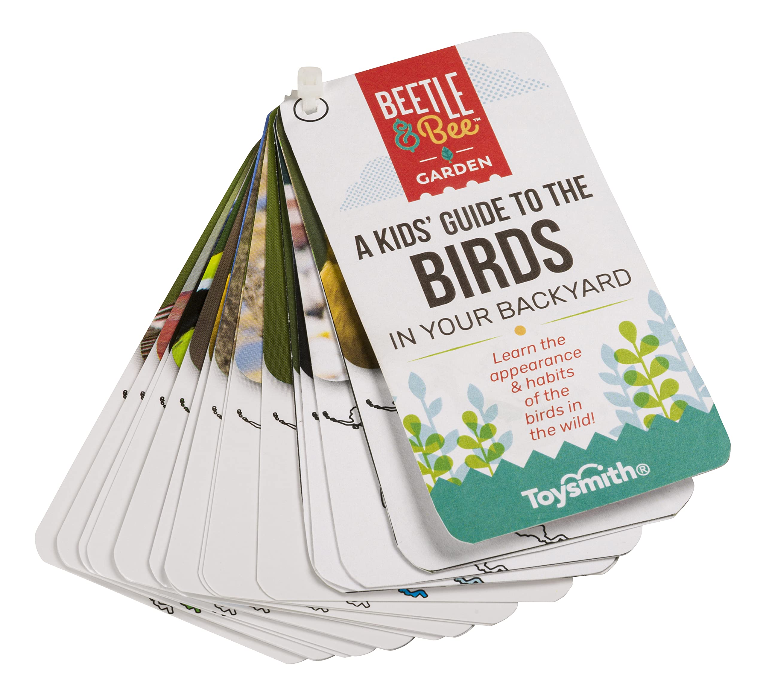 Snapklik.com : Beetle & Bee, Little Birder Set, Kids Backyard Bird ...