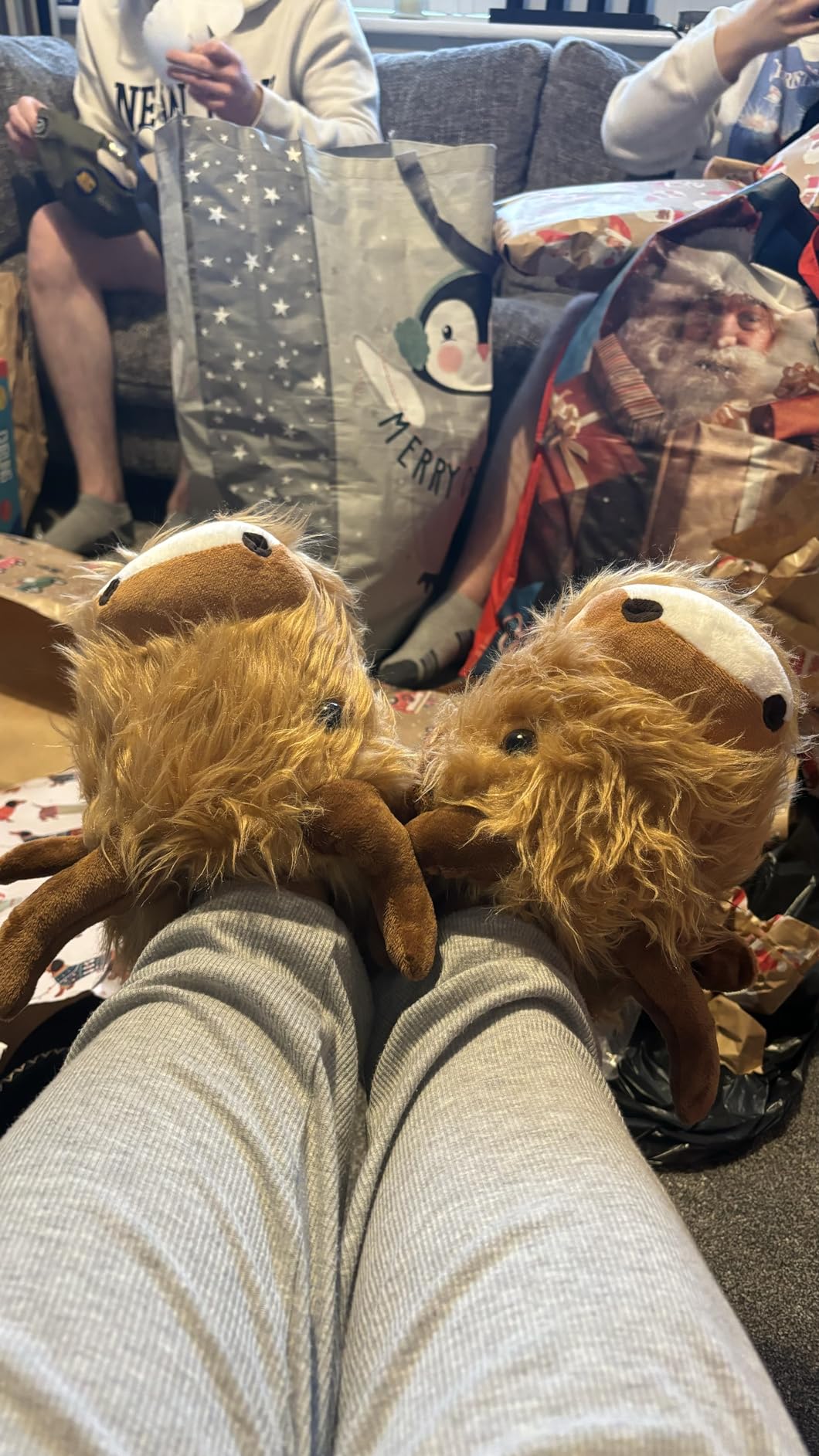 Aroma Home Fuzzy Friends Slippers Limited Edition (Highland Cow ...