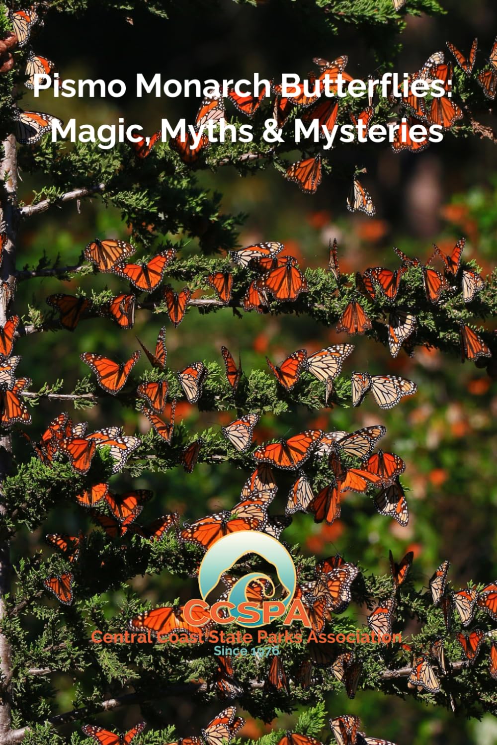 Pismo Monarch Butterflies: Magic, Myths, and Mysteries: State Parks ...
