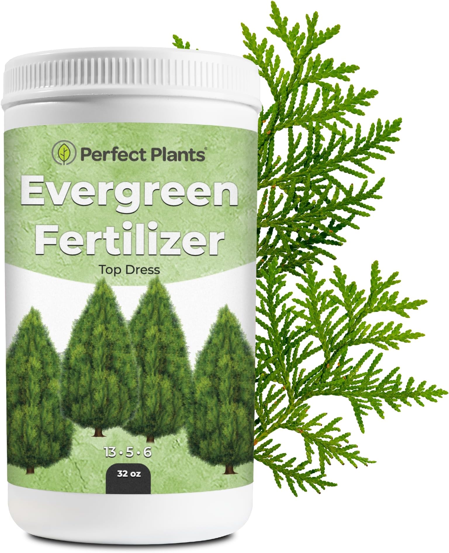 Amazon.com : Evergreen Fertilizer by Perfect Plants | Top Dress Slow ...