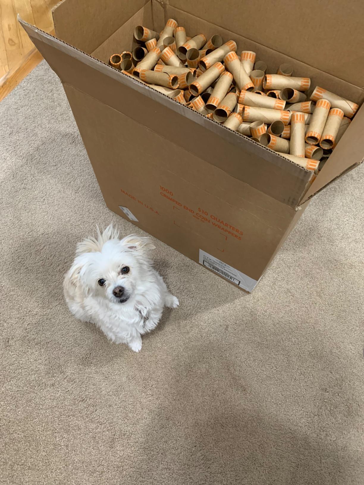 Amazon.com : The Coin-Tainer Co. Preformed Coin Wrappers, Quarter, 1000 ...