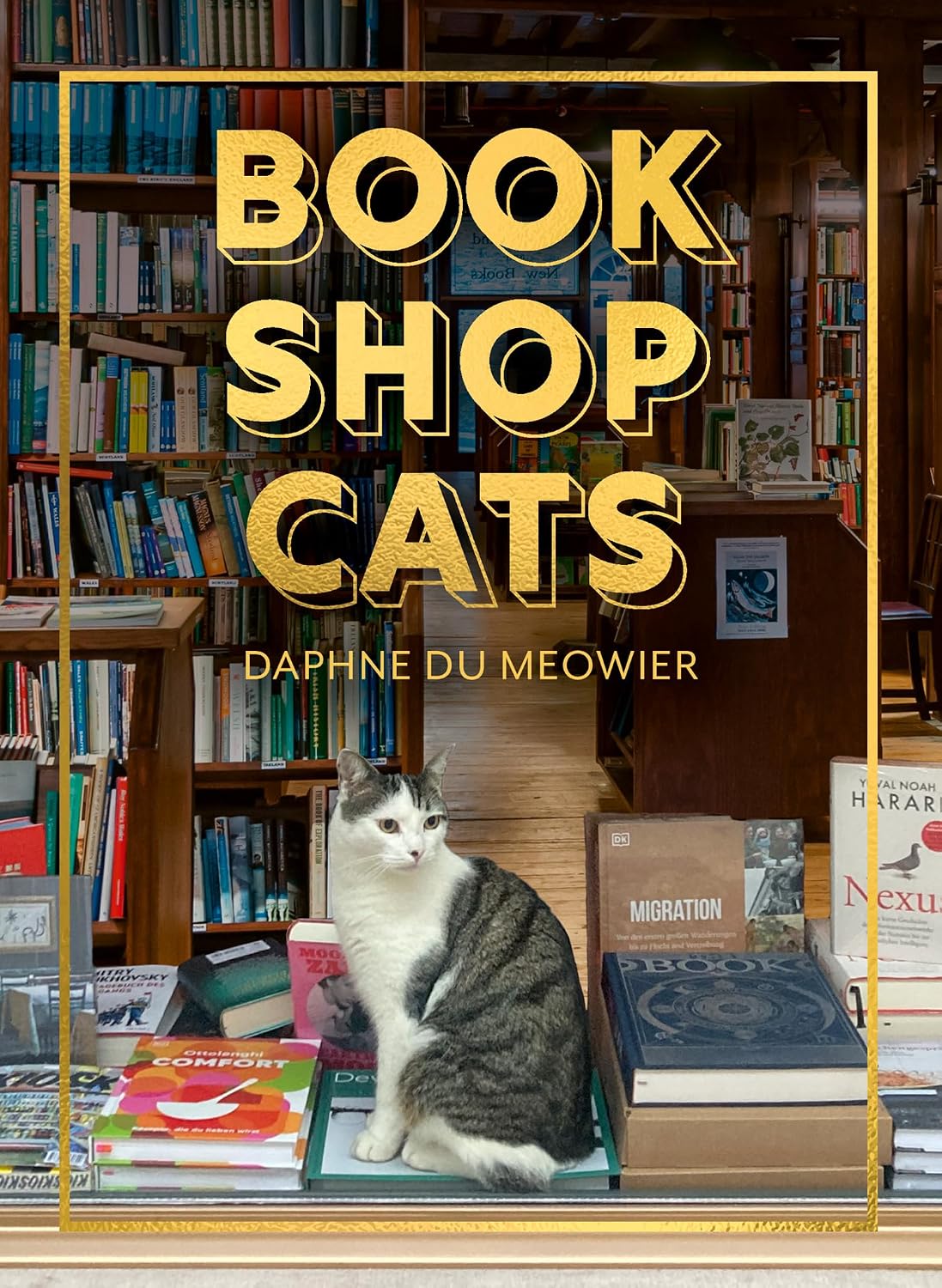 Bookshop Cats: The Perfect Illustrated Gift for Cat Lovers and ...