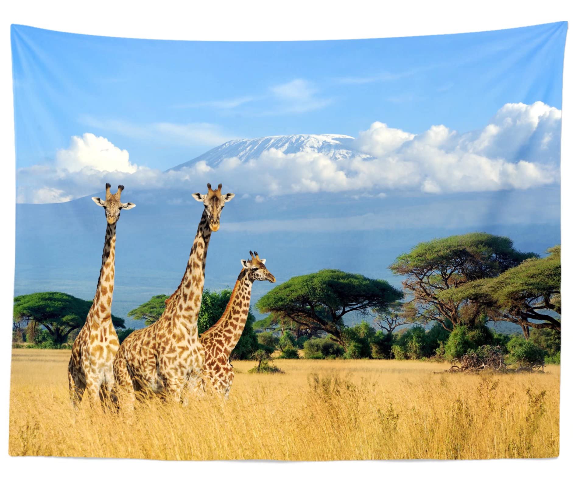 Nature Scenery With Animals