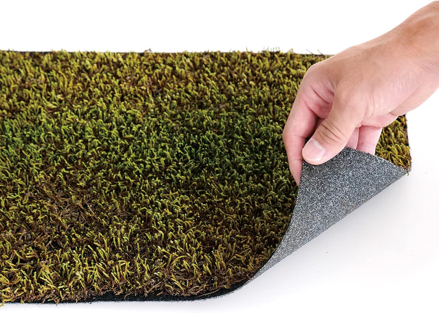 Amazon.com : Dried Moss Sheet, Natural Green Sunagoke Moss Mat, Made in ...