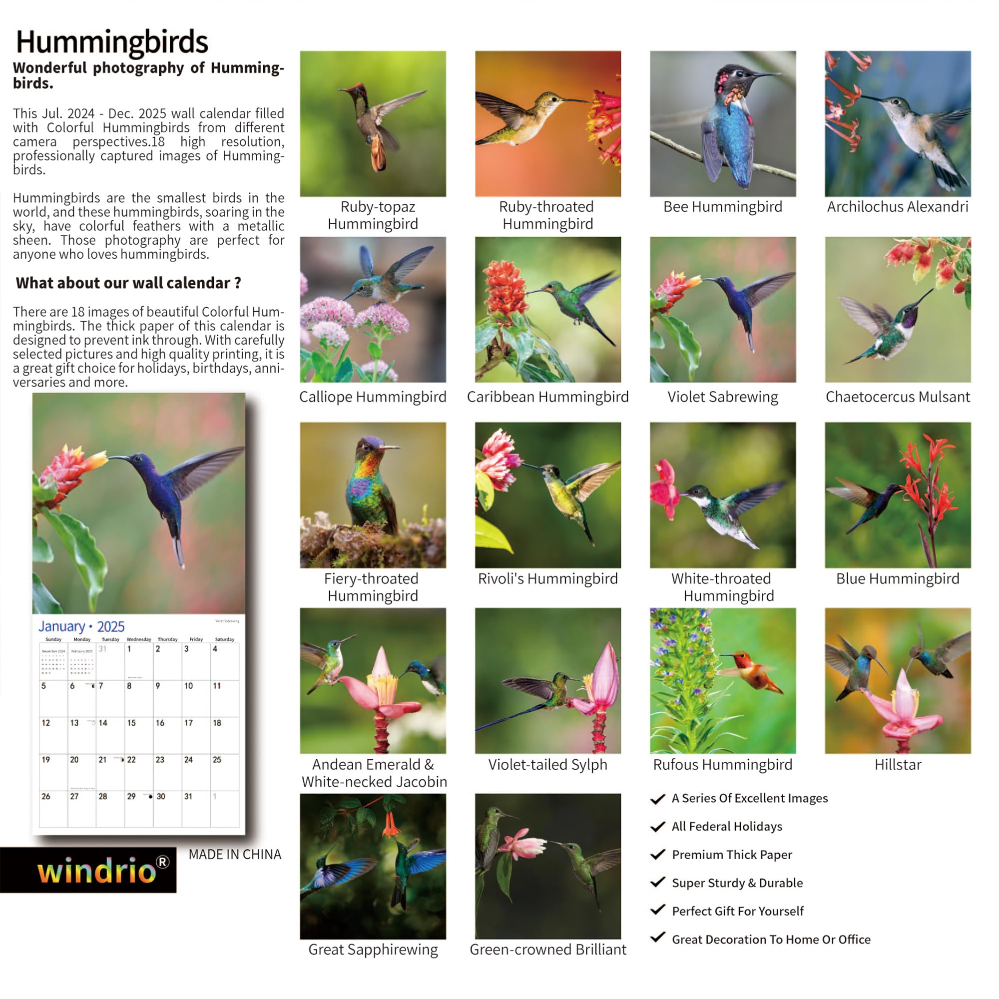 Snapklik.com : 2024 Wall Calendar,Calendar 2024, July 2024 - December ...