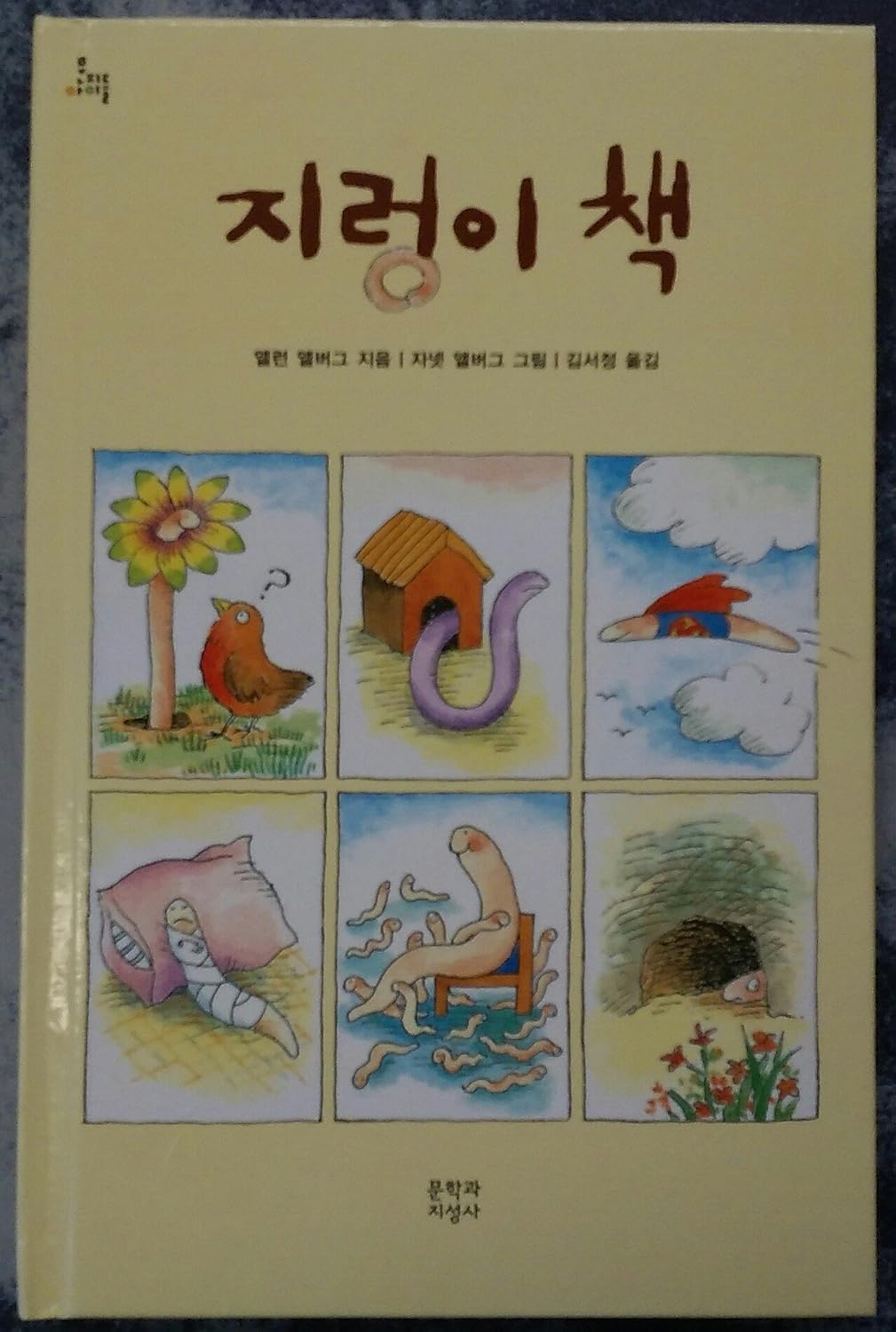 Amazon.com: The Worm Book: 9788932016924: Janet Ahlberg: Books