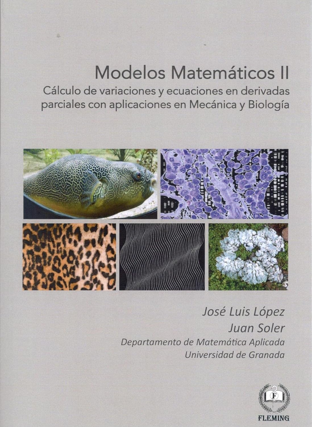 Modelos Matemáticos II: Cálculo de variaciones y ecuaciones en ...