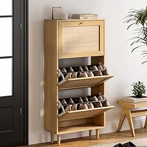 Amazon.com: HOOLETE Narrow Shoe Cabinet with 3 Flip Drawers Hidden ...