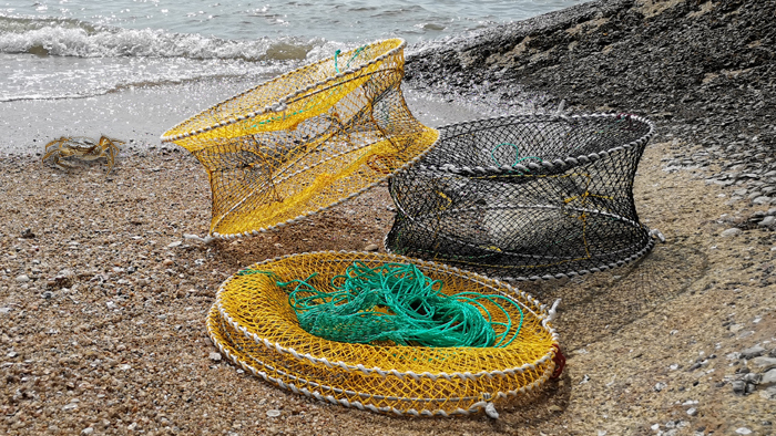 Watch Drasry Three Entrances Large Crab Traps Collapsible Trap on ...