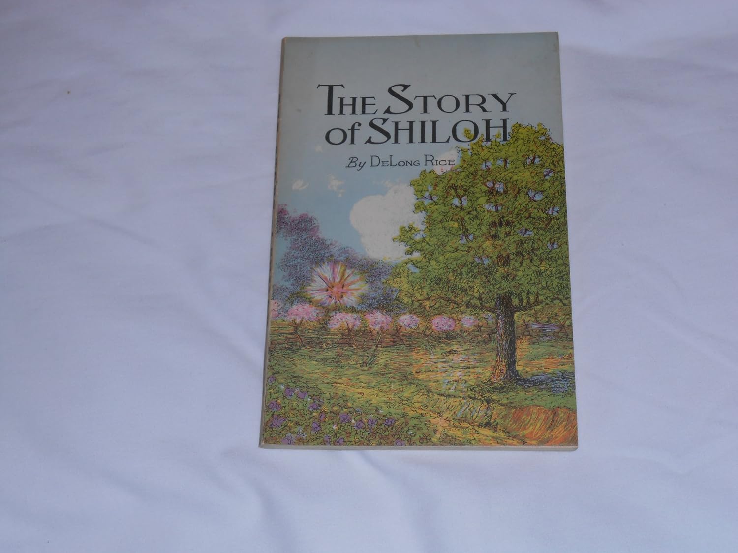 The story of Shiloh: Rice, De Long: Amazon.com: Books