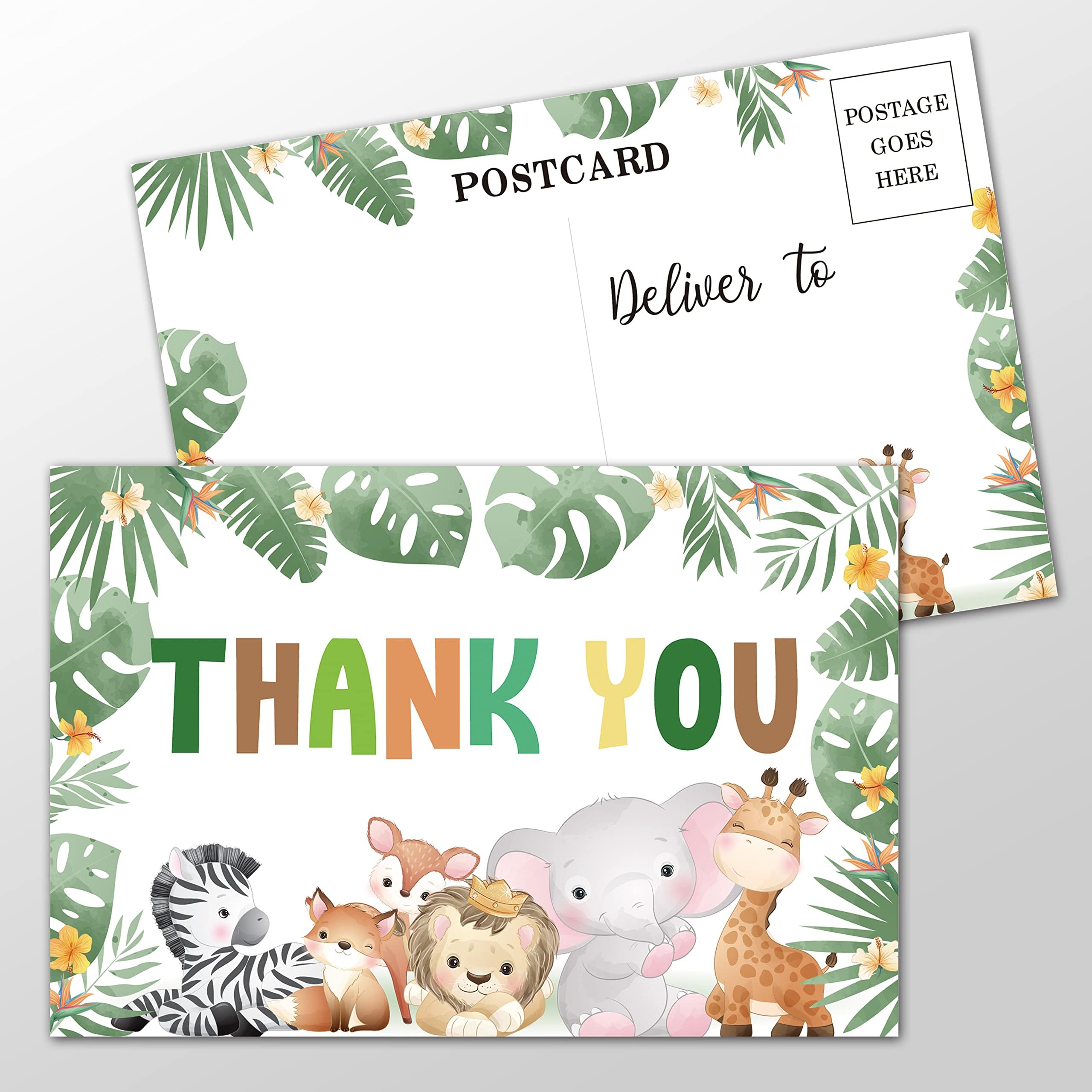 Amazon.com : Safari Jungle Thank You Postcards - Wild Animal Double ...