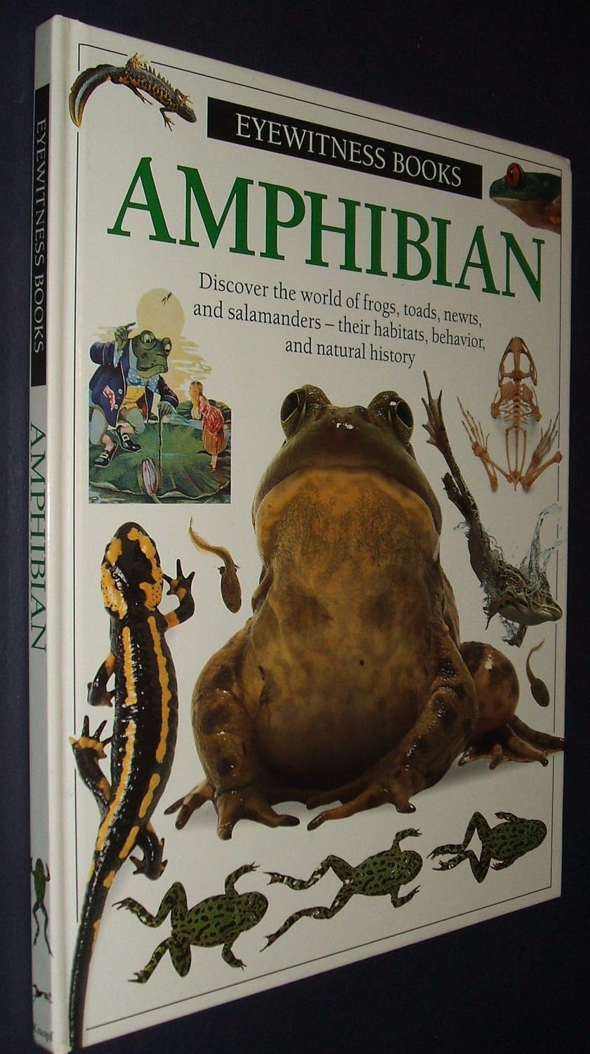Amphibian: Clarke, Barry: 9780679838791: Amazon.com: Books