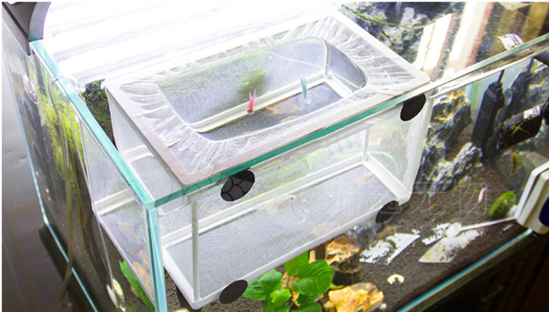 Snapklik.com : Nylon Mesh Fish Fry Hatchery Breeder Box Separation Net By