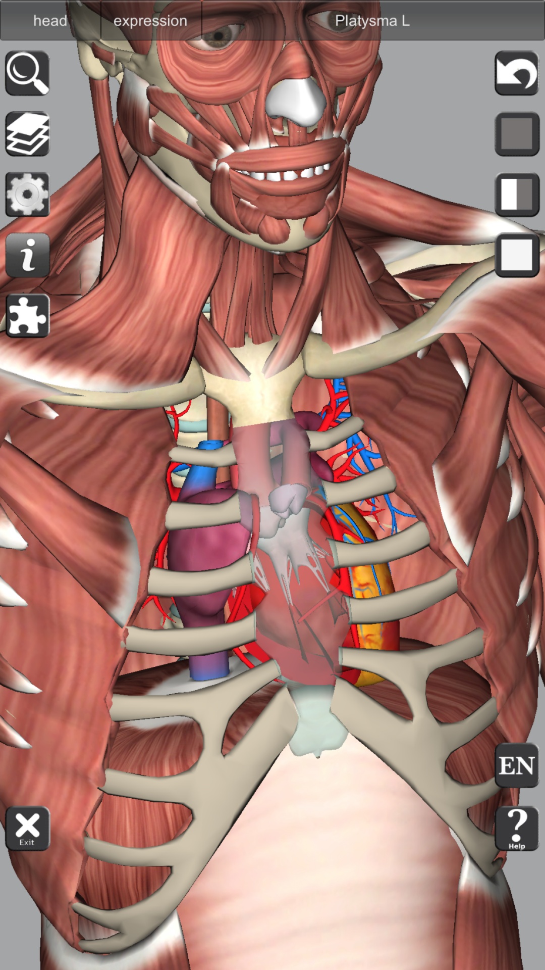 3D Anatomy Free:Amazon.co.uk:Appstore for Android